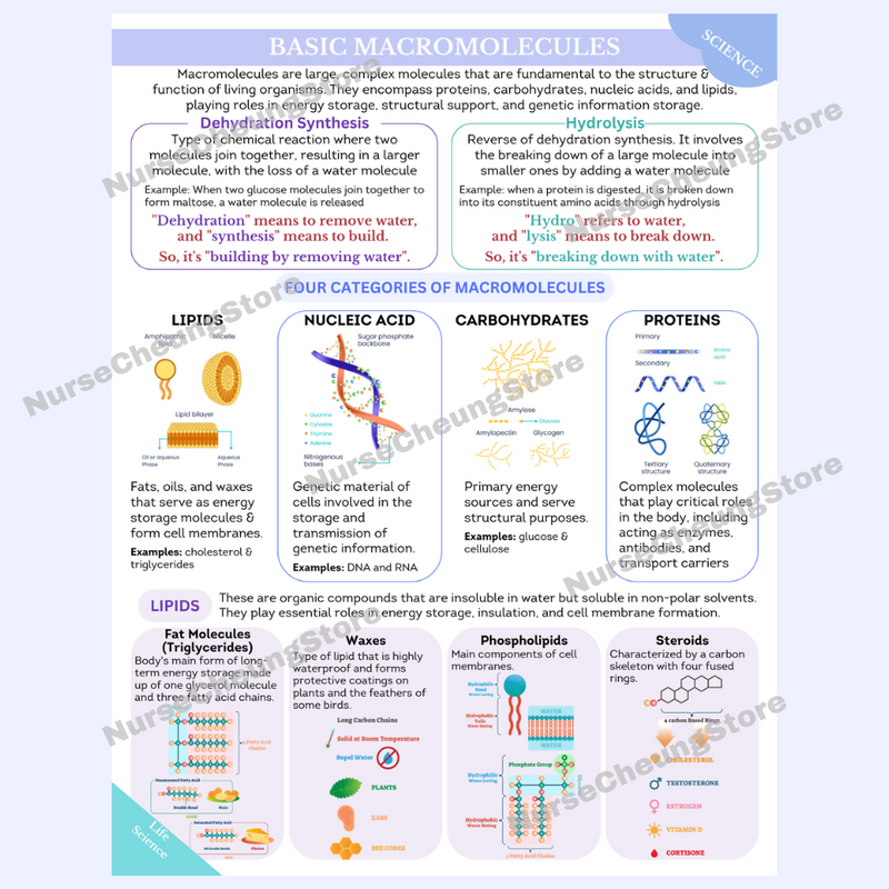 ATI TEAS 7 Science Comprehensive Study Guide by NurseCheung - In-depth