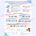 ATI TEAS 7 Science Comprehensive Study Guide by NurseCheung - In-depth