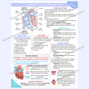 ATI TEAS 7 Science Comprehensive Study Guide by NurseCheung - In-depth
