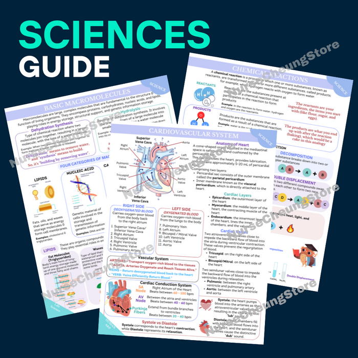 Complete ATI TEAS V7 Study Guide 2024 - 2025 by NurseCheung with 170